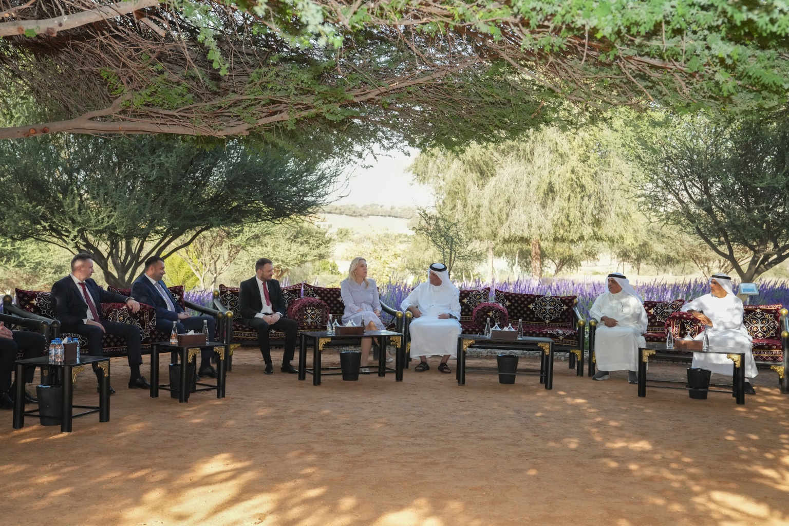 RAK Ruler receives Member of Bosnia and Herzegovina Presidency - Home Page